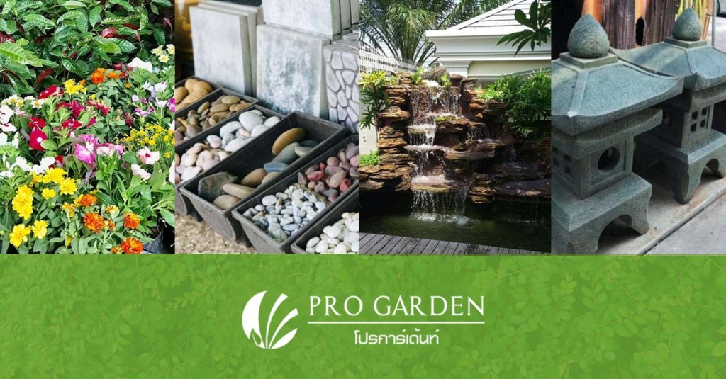 [บริการ] รับจัดสวน-ออกแบบสวน จัดสวนหิน จัดสวนหย่อม - Pro Garden